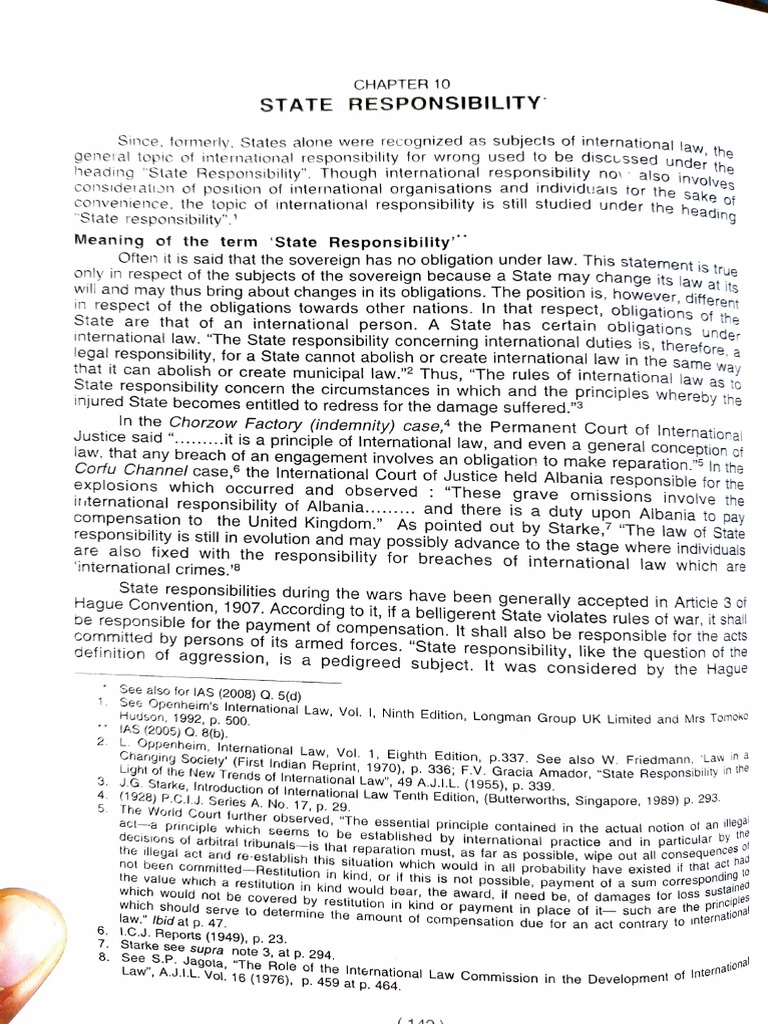 State Responsibility | PDF