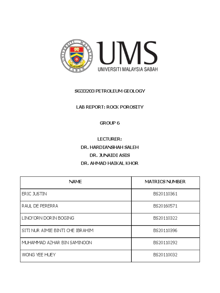 Rock Porosity Analysis in Petroleum Geology | PDF | Sandstone ...