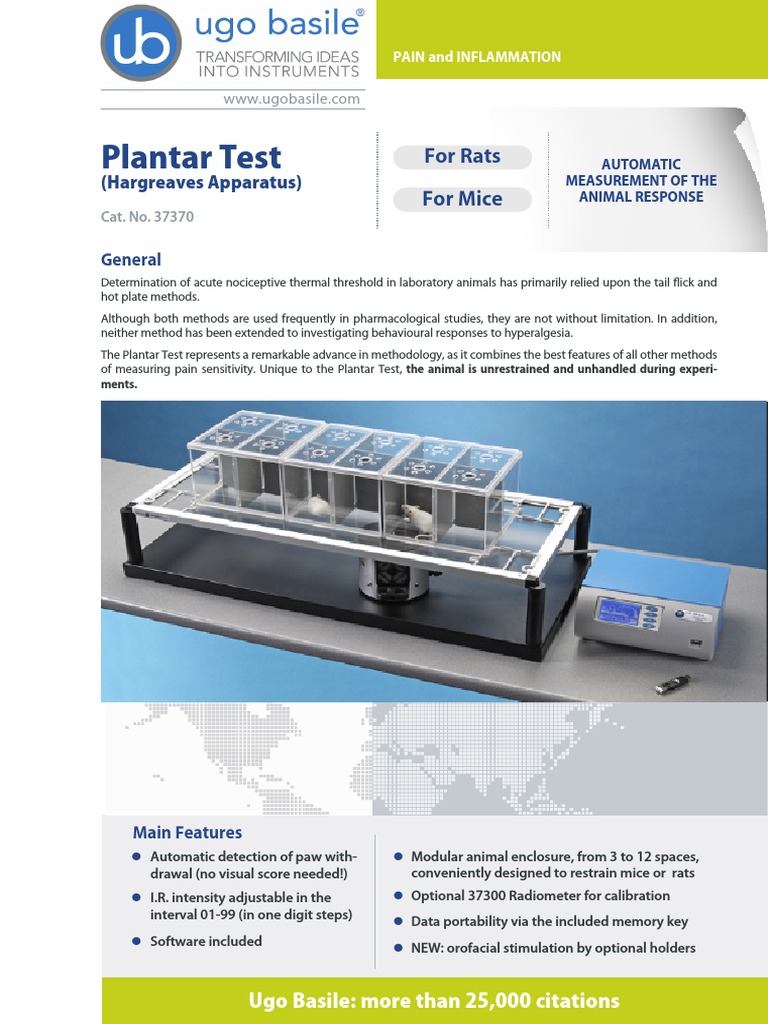 Plantar Test Leaflet | PDF | Pain | Nervous System