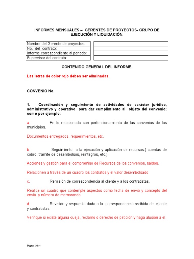 Formato para Informes Mensuales de Supervisores | PDF