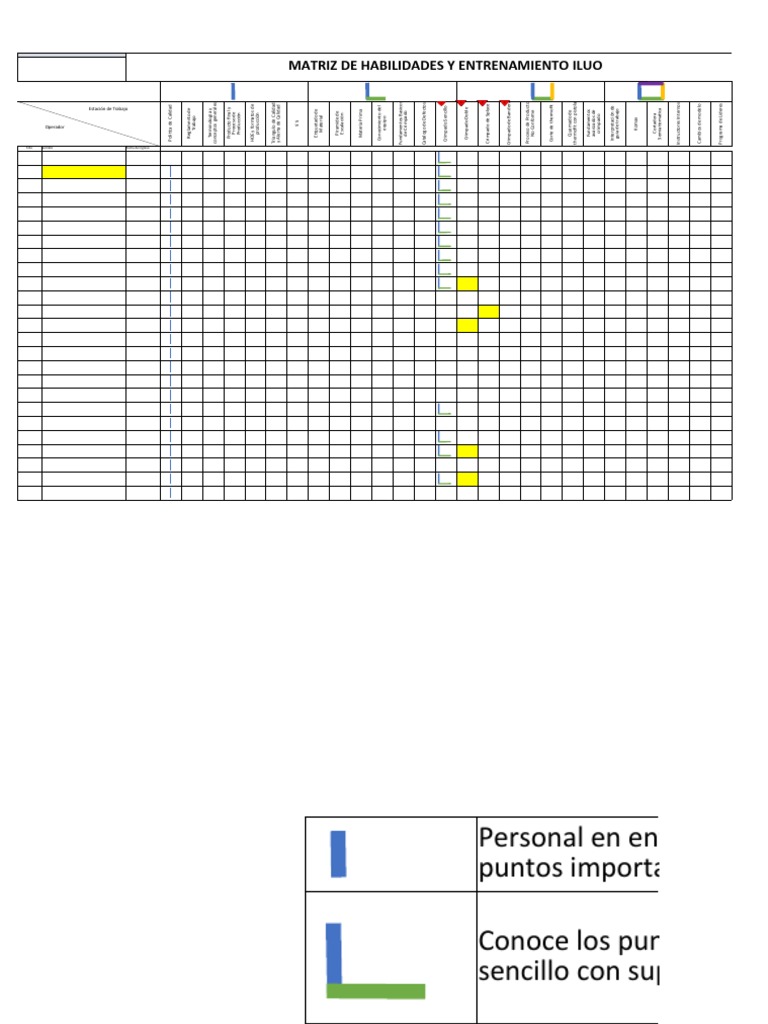 Formato Matriz de Habilidades ILUO | PDF