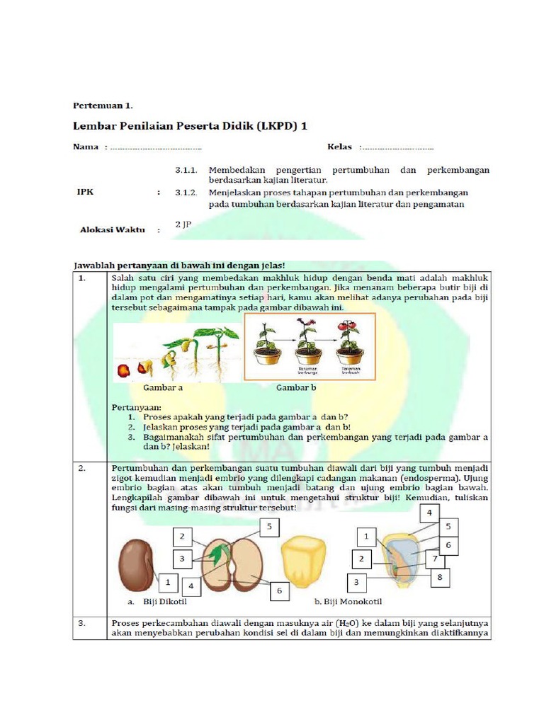 LKPD PP | PDF