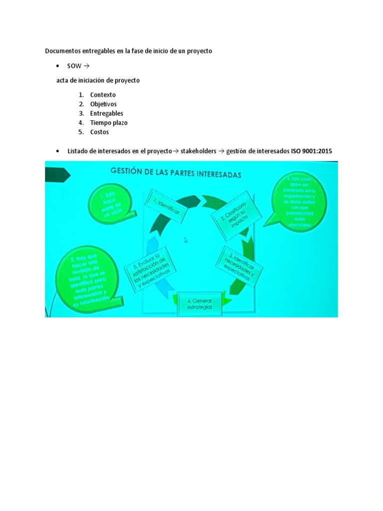 Documentos Entregables en La Fase de Inicio de Un Proyecto | PDF