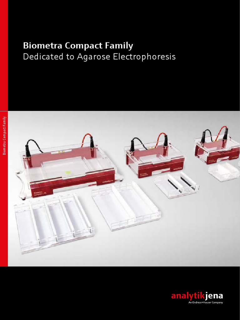 Analytik Jena Biometra Agarose Gel Electrophoresis Brochure | PDF | Gel Electrophoresis ...