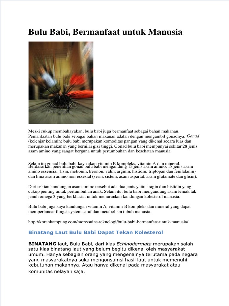Dokumen - Tips - Bulu Babi Kimia Pangan | PDF