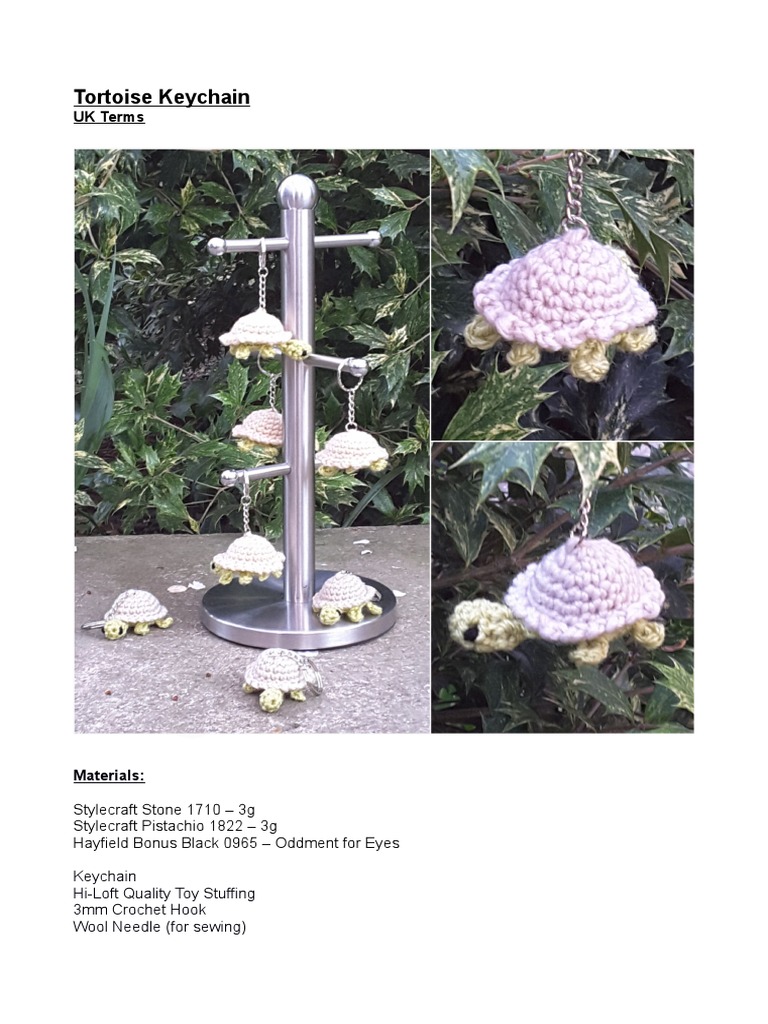 Tortoise Keychain | PDF | Science & Mathematics