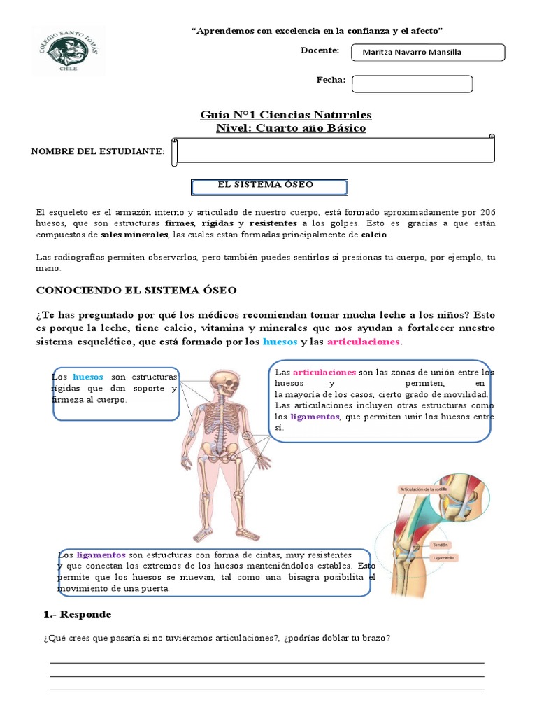 Guia #1 Ciencias Naturales 4to Basico | PDF