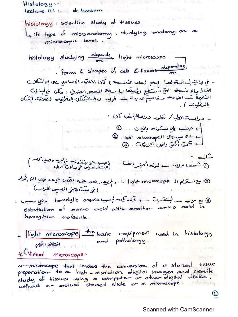 Histology - Lecture 1 - DR - Hossam - Sund | PDF