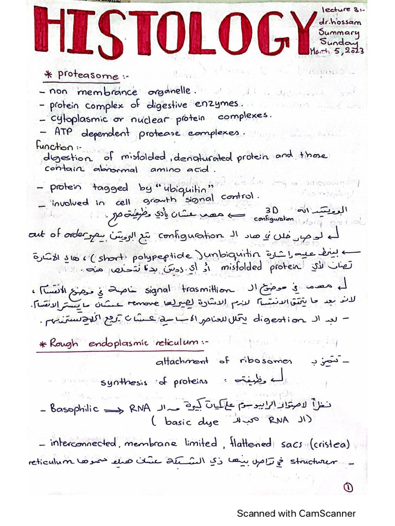 Histology - Lect 3 - DR Hossam | PDF Histology - Lect 3 - DR Hossam | PDF