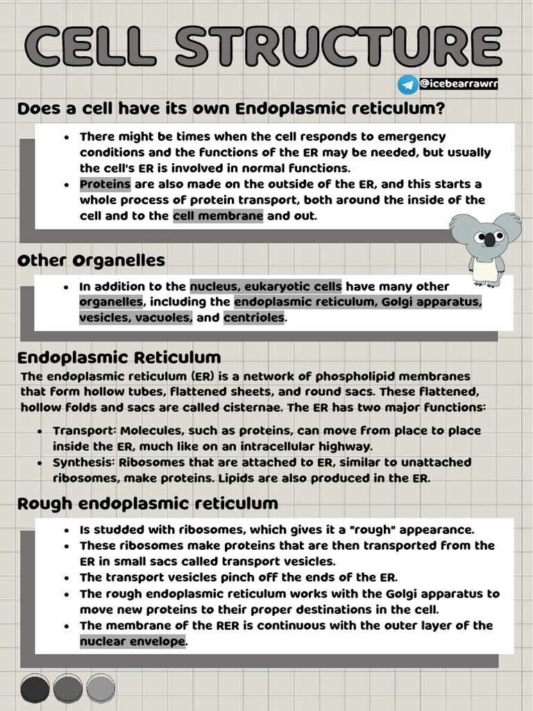 Bio Cell Structure | PDF | Endoplasmic Reticulum | Cell Biology