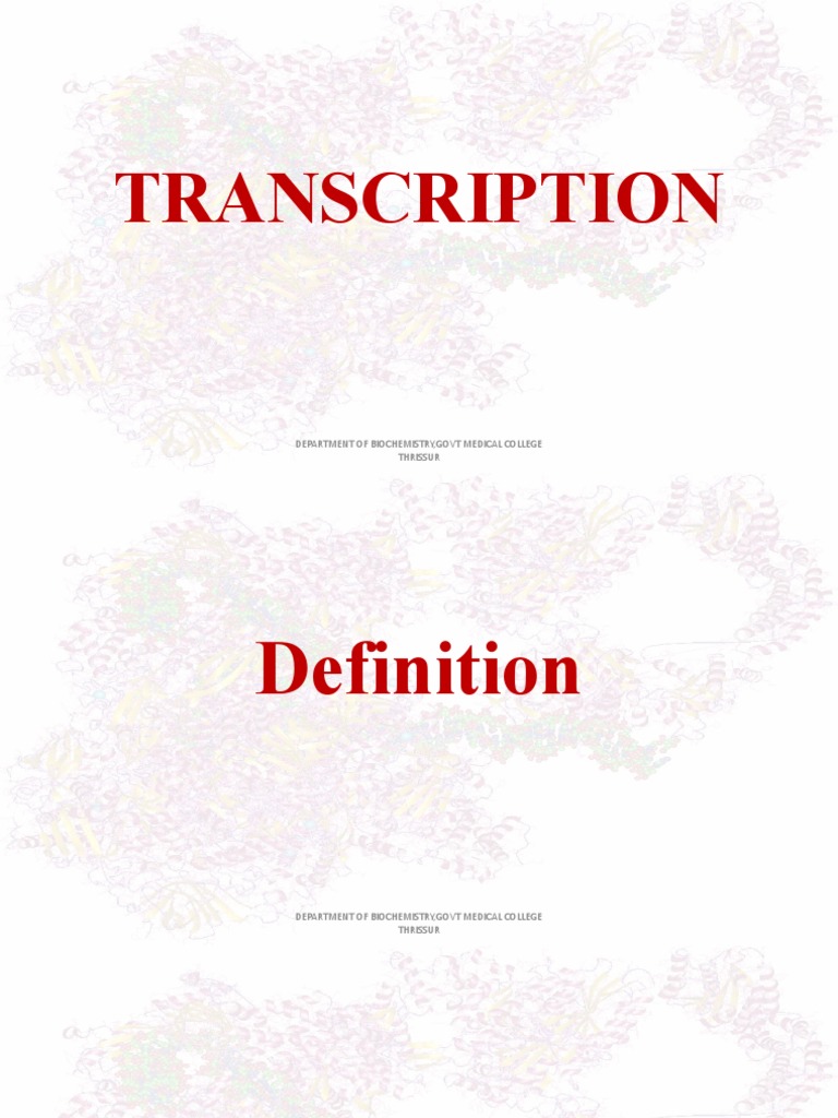 Transcription Notes | PDF | Messenger Rna | Rna