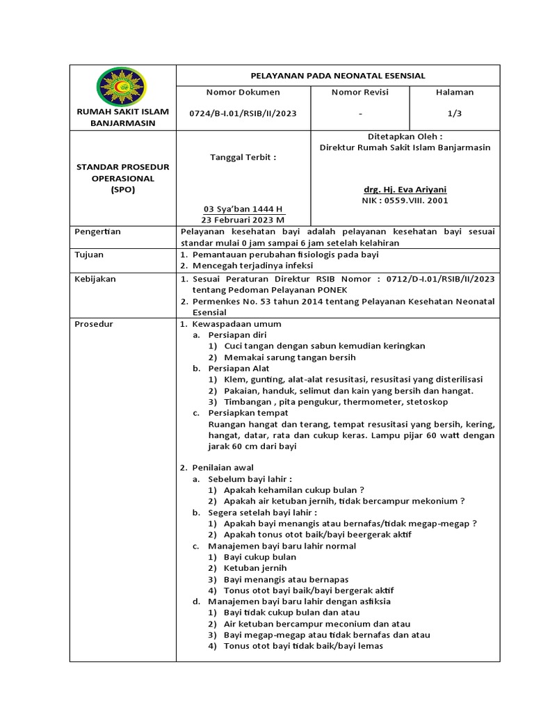 Spo Pelayanan Neonatal Esensial | PDF