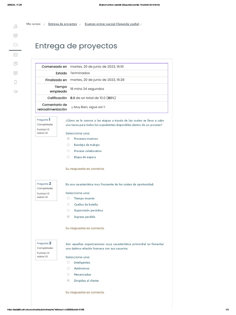Examen Primer Parcial (Segunda Vuelta) - Entrega de Proyectos | PDF