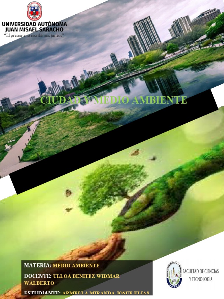 MEDIO Ambiente y Ciudad | PDF | Ciencias de la Tierra | Naturaleza