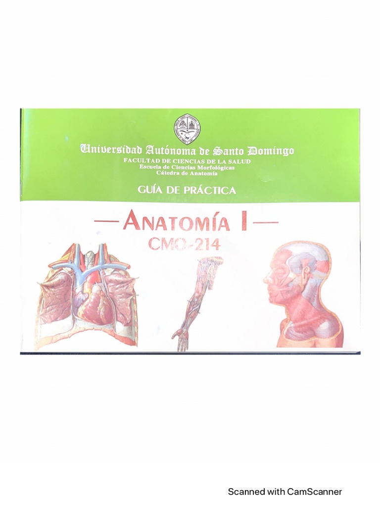 Manual LAB Anat 1 | PDF