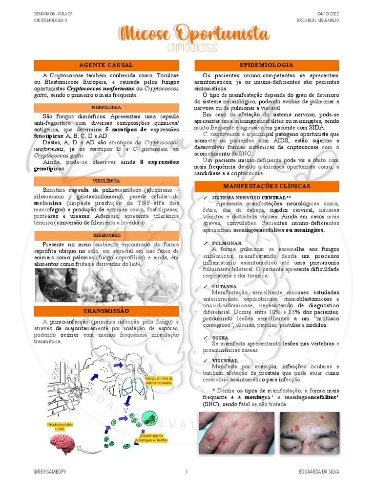 3 - M.oportunista - Criptococose | PDF