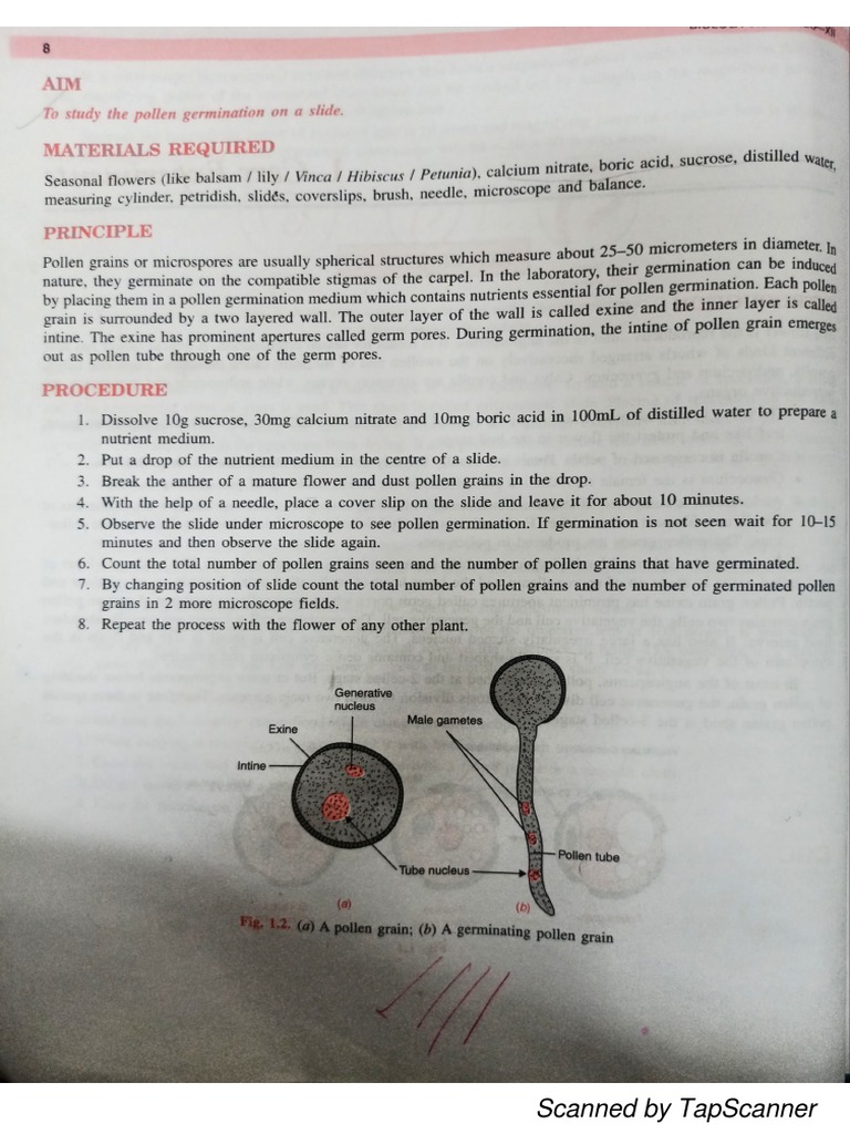 Class 12 biology practical file | PDF