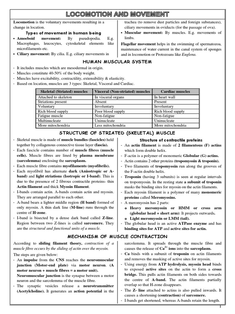 9 Locomotion N Movement-Notes Blog (Full Permission) | PDF