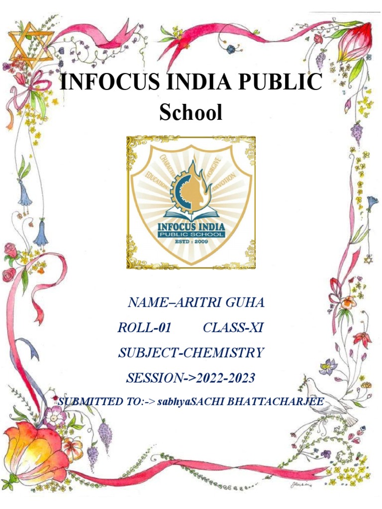 INFOCUS INDIA PUBLIC School | PDF