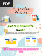 Rotulación e Identificación de Muestras | PDF | Histopatología ...