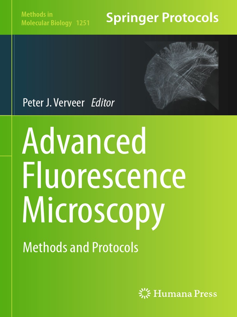 Advanced Micros | PDF
