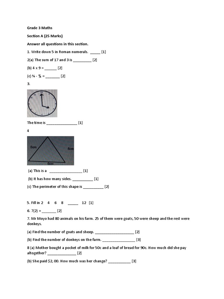 Grade 3 Maths Revision | PDF