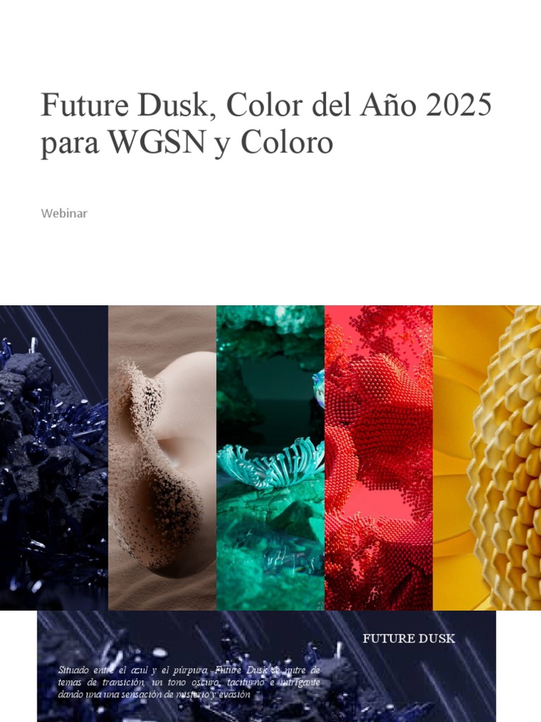 Future Dusk, Color Del Año 2025 | PDF