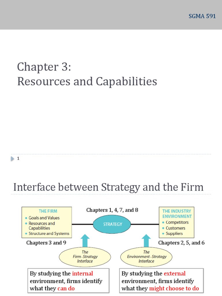 Chapter 3 Resources And Capabilities Notes Pdf 