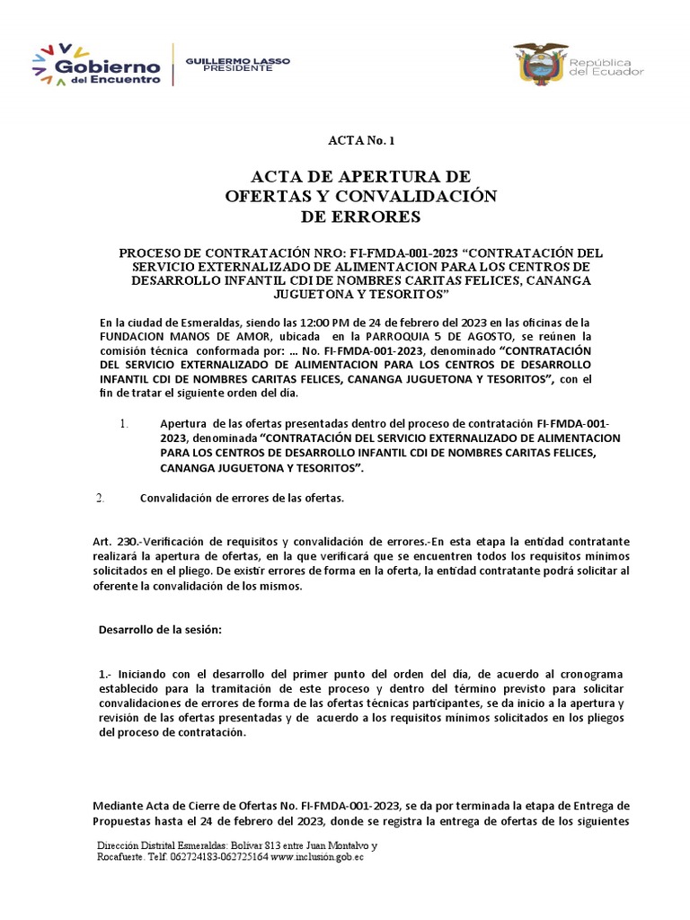 Acta de Convalidación de Errores | PDF