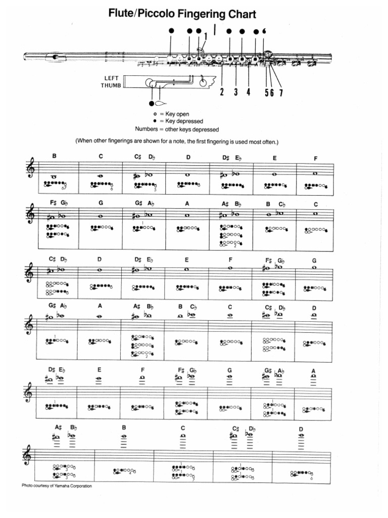 Fingering Charts | PDF