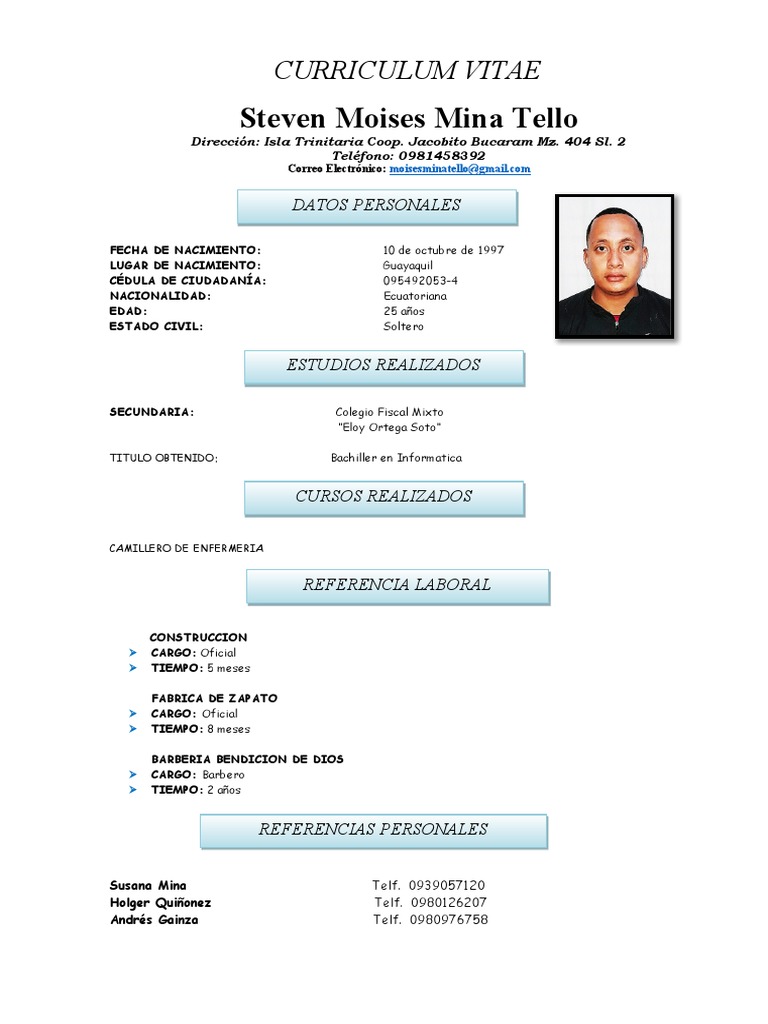 Steven Moises Mina Tello | PDF