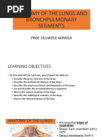Surface Anatomy of Lungs | PDF