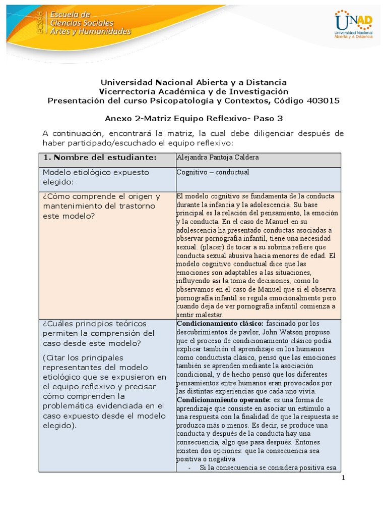 Alejandra Pantoja Matriz Equipo Reflexivo - Paso 3 | PDF | Comportamiento | Las emociones