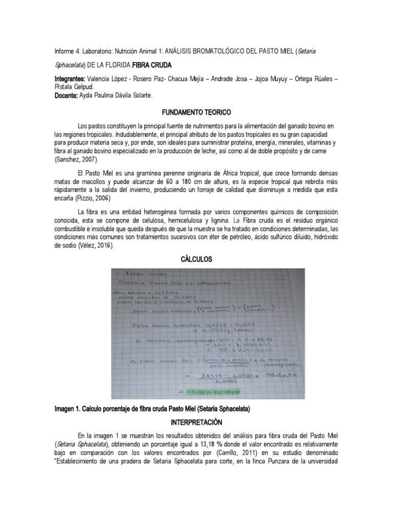 4 Fibra Cruda | Descargar gratis PDF | Fibra dietética | Dieta y nutrición