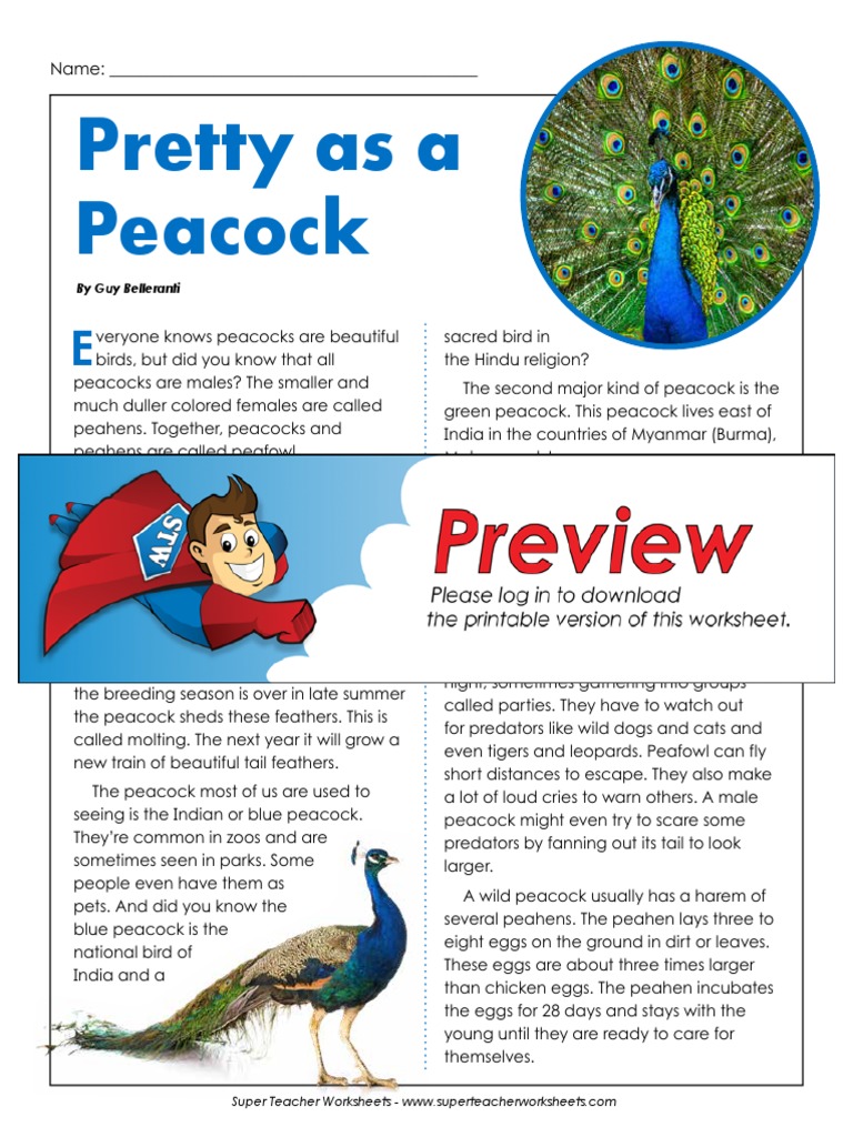5th Peacocks | PDF | Peafowl | Birds
