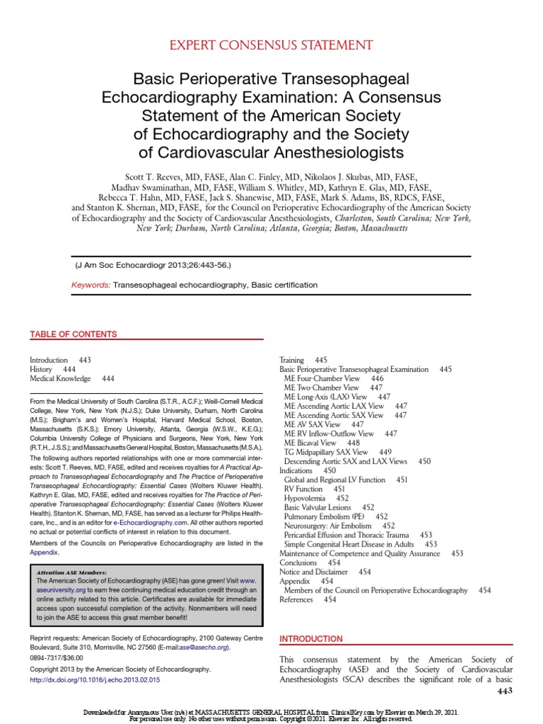 Basic Tee Views | PDF