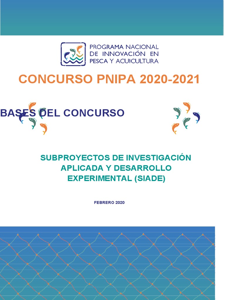 Bases Concurso Pnipa 2020-2021 Siade-Rev01 Omr I | PDF