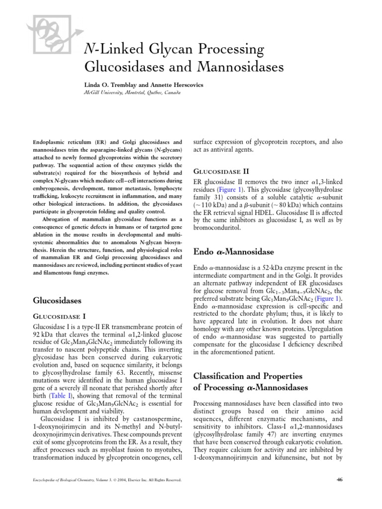 N-Linked Glycan Processing Glucosidases and Mannosidases: Endo - Mannosidase | PDF