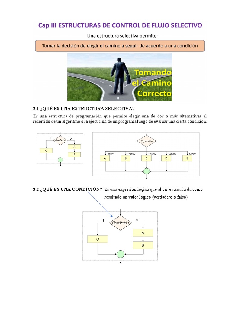Estructuras Selectivas en Programación | PDF | C ++ | Verdad
