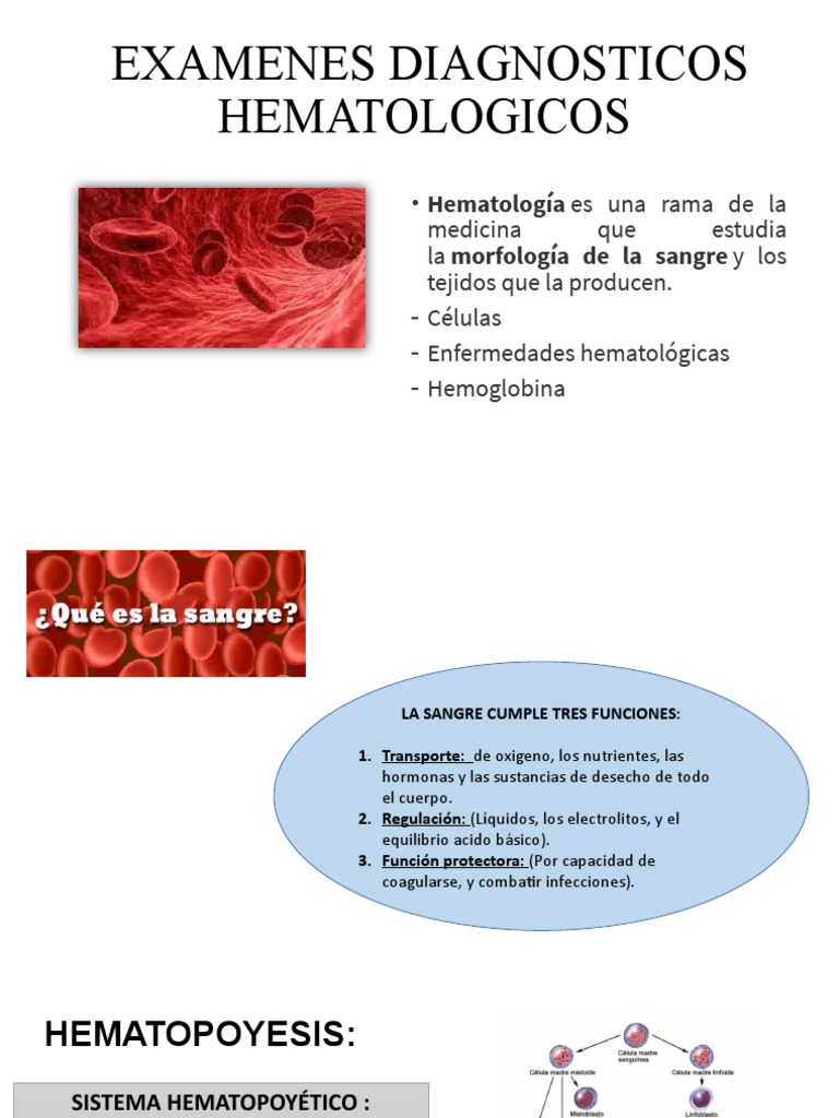 HEMATOLOGICO | PDF