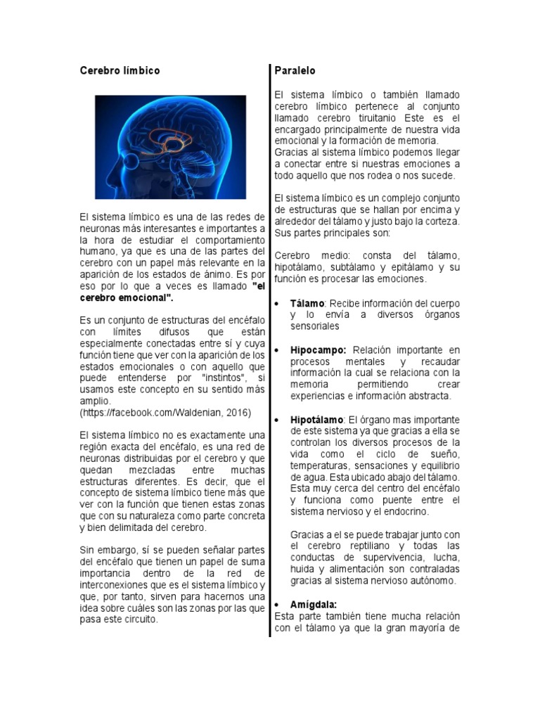 Texto Paralelo-Final | PDF | Cerebro | Sistema límbico