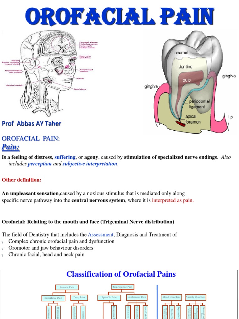 Orofacial Pain 2023 | PDF | Headache | Pain