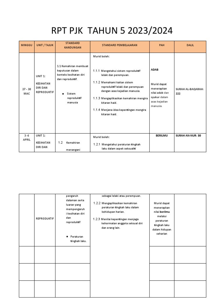 RPT PJK Tahun 5 2023 - 2024 | PDF