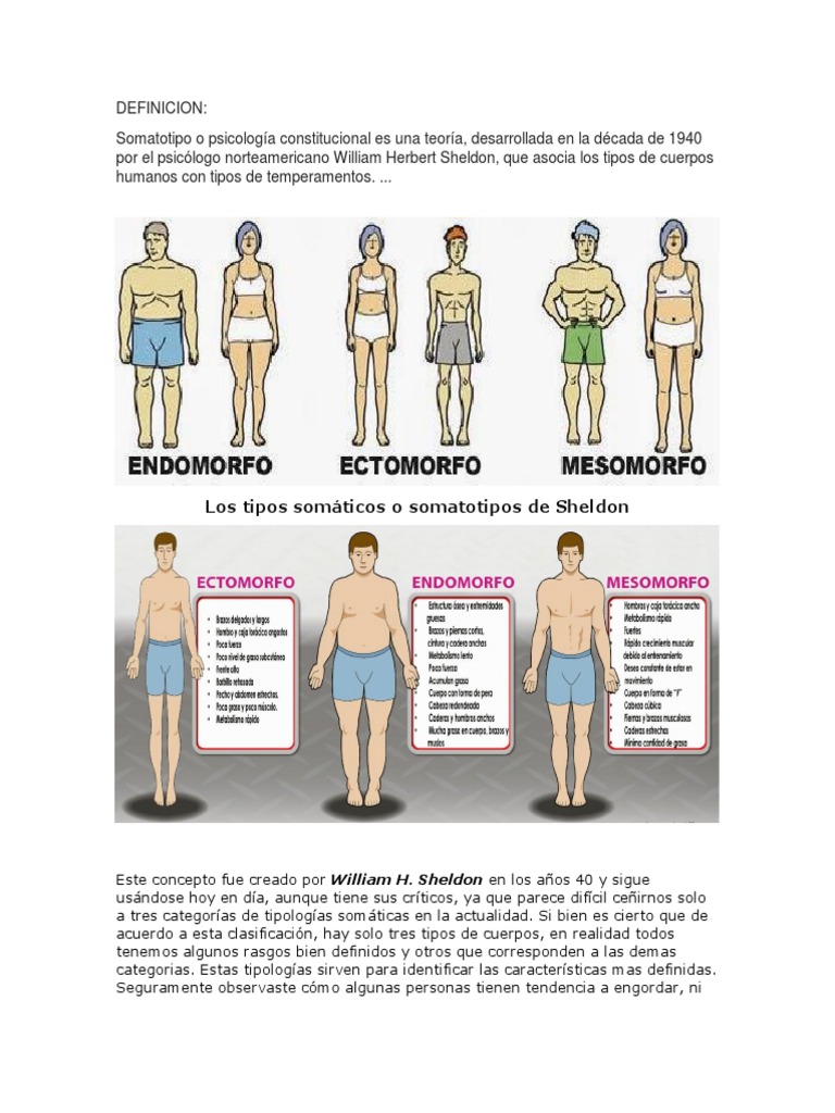 Somatotipos: Ectomorfo, Mesomorfo, Endomorfo | PDF