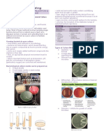 Inoculation Techniques in Microbiology | PDF | Agar | Inoculation