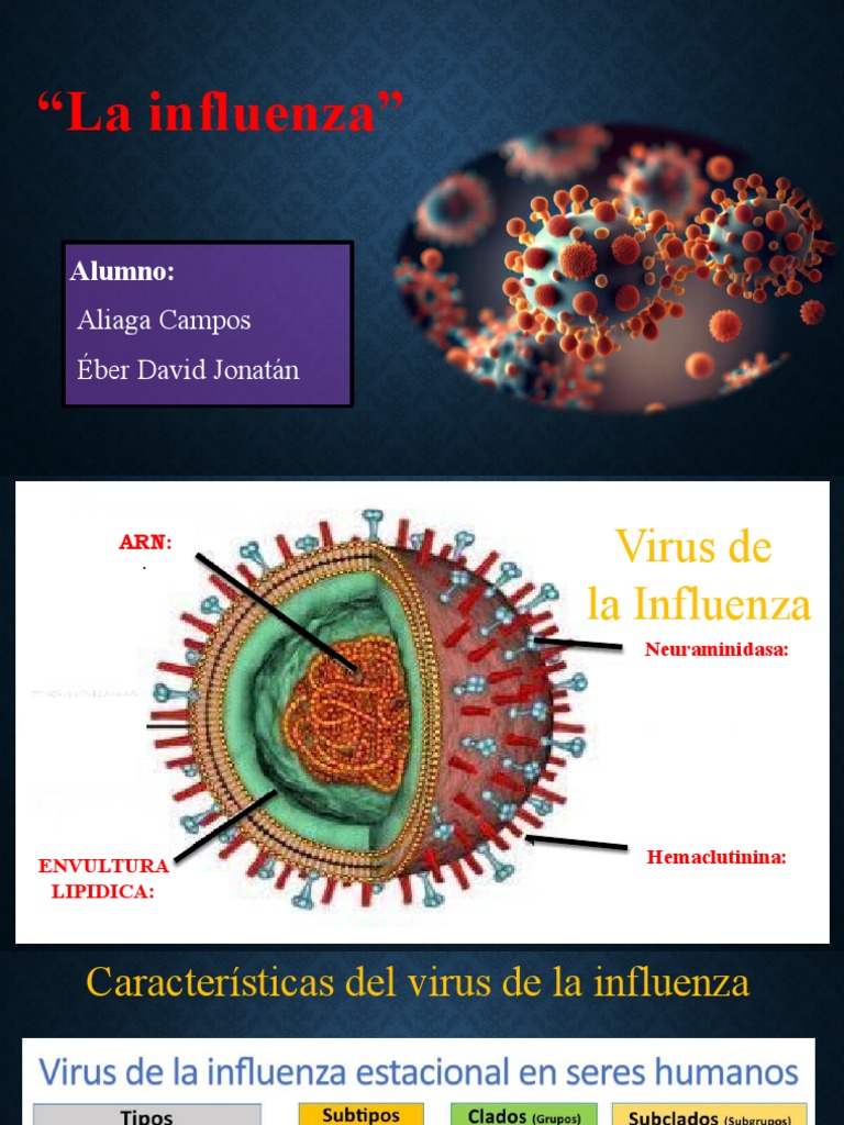 Guía Completa sobre la Influenza | PDF