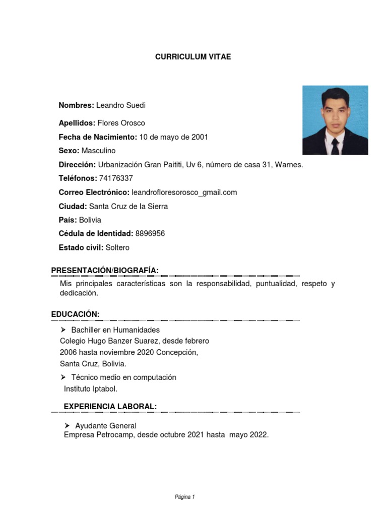 Curriculum Leandro | PDF