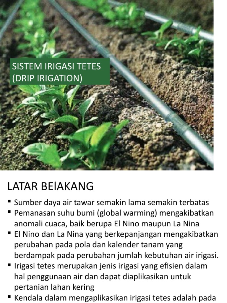 Keunggulan dan Kekurangan Irigasi Tetes | PDF