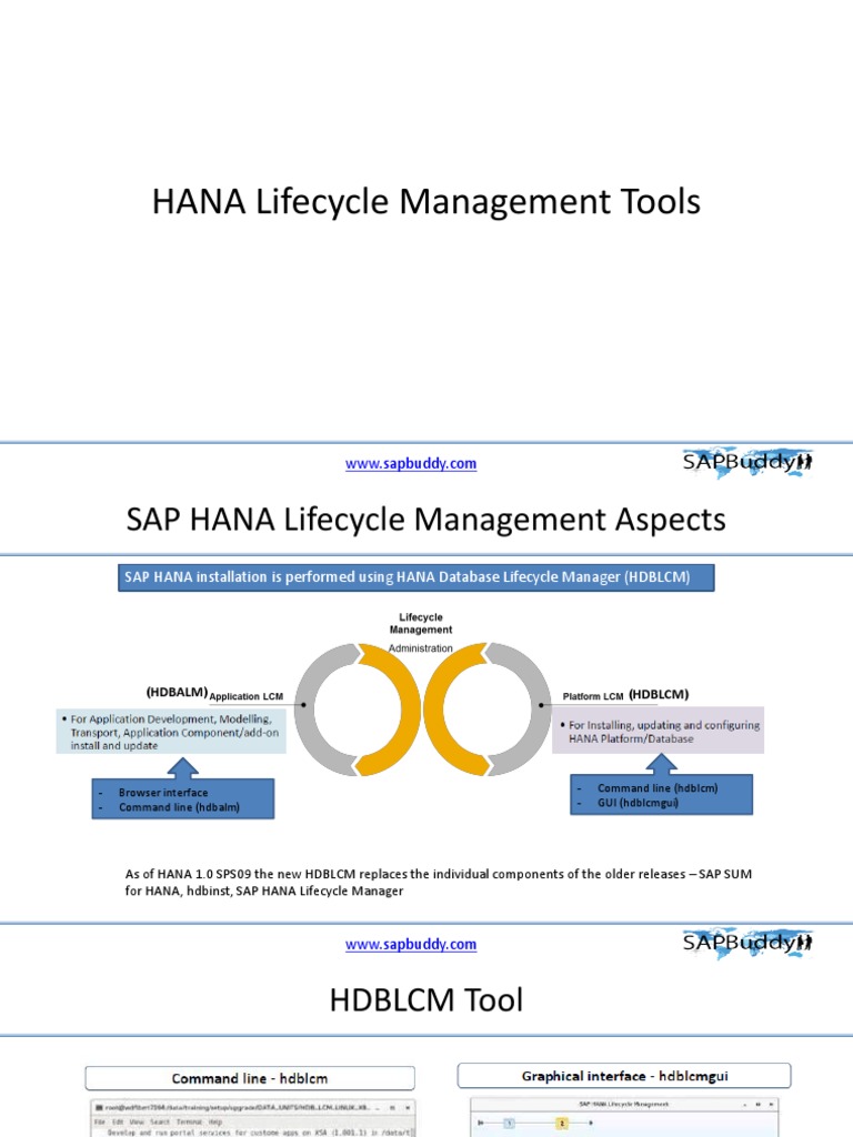 HANA Lifecycle Management Tools | PDF
