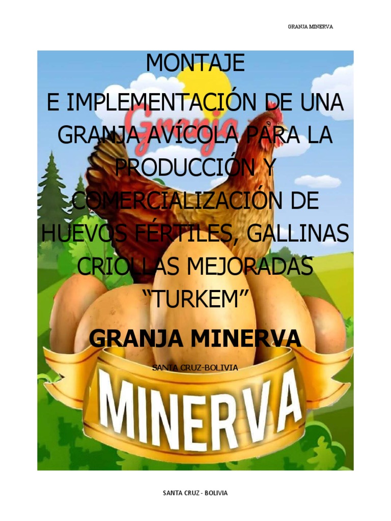 Proyecto Granja de Gallinas Ponedoras OFICIAL | PDF | Granjas | Avicultura